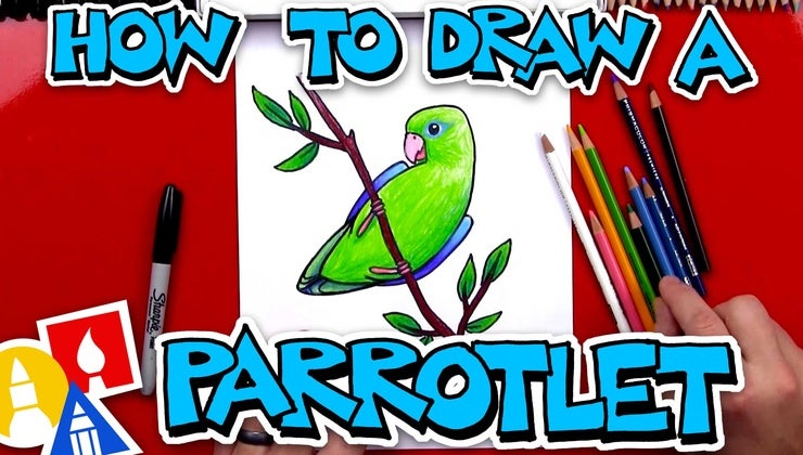 How To Draw A Realistic Parrotlet