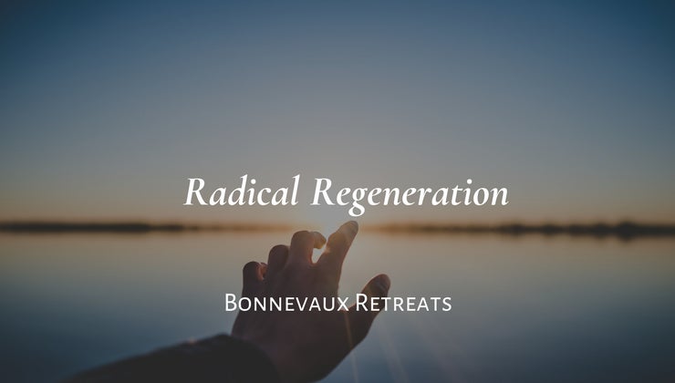 Radical Regeneration with Andrew Harvey | WCCM Plus