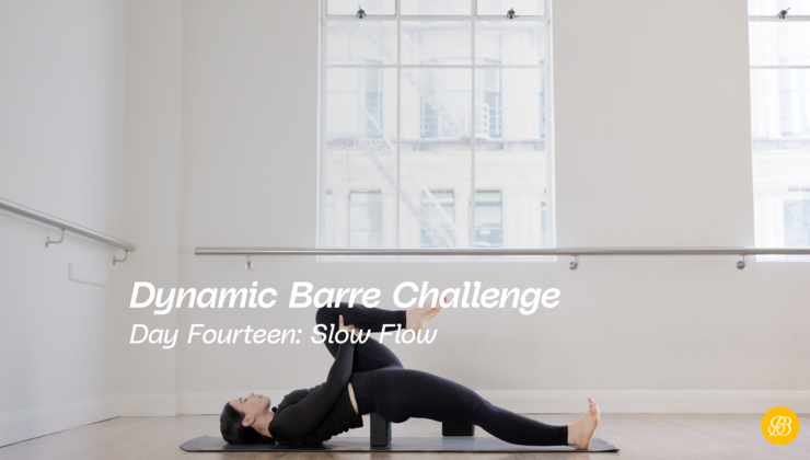 Dynamic Barre Challenge - Day 14 Slow Flow | Barre Base Anywhere