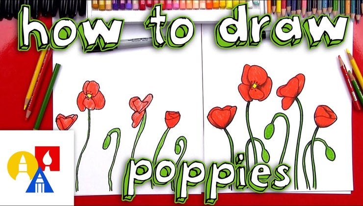 How To Draw Poppies | Art For Kids Hub