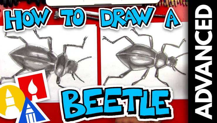 How To Sketch A Beetle - Advanced Sketching