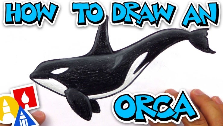 How To Draw A Realistic Orca | Art For Kids Hub How To Draw A Realistic Orca | Art For Kids Hub