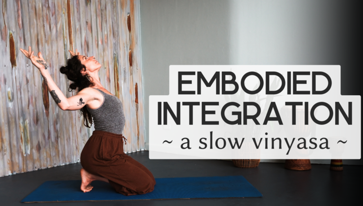 Embodied Integration ~ A Slow Vinyasa | CCY Studio