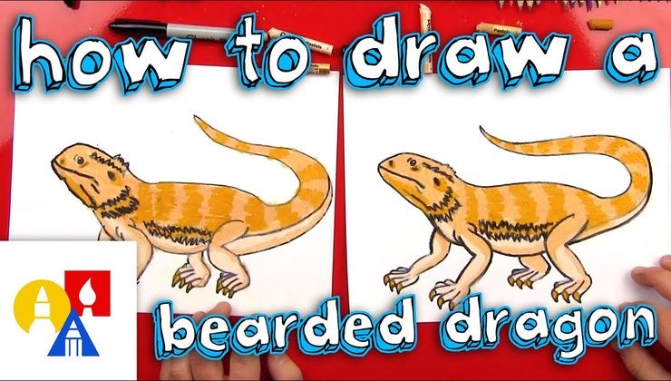 How To Draw A Bearded Dragon