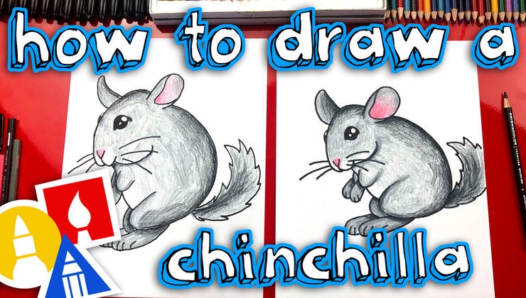 How To Draw A Chinchilla | Art For Kids Hub