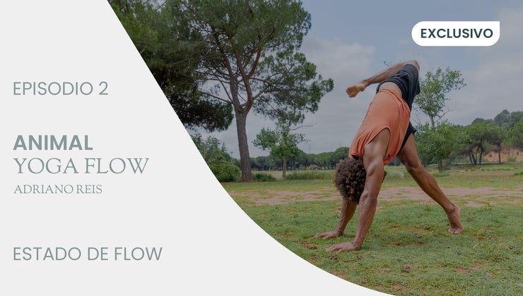 Animal yoga flow | Estado de flow