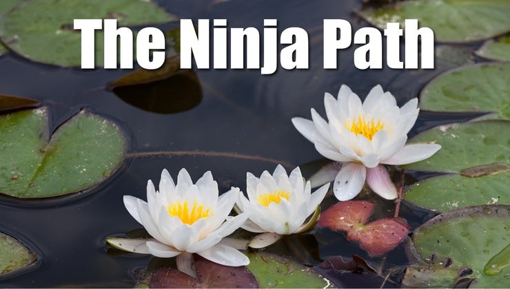 Book Club Lesson 24 - The Ninja Path | Ninja You