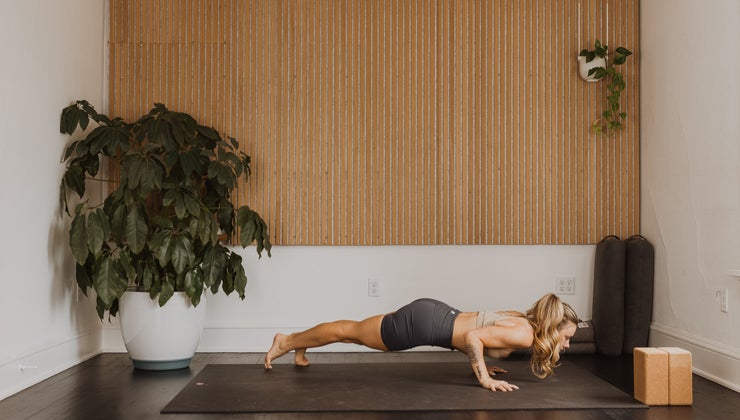 August 16 | 70-min. High-Spice Advanced practice: crows + crocs