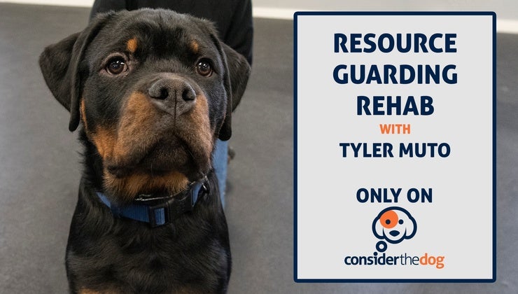 rottweiler resource guarding