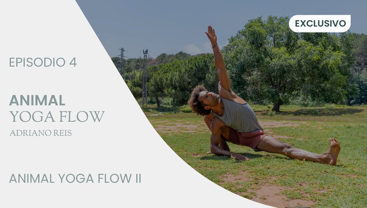 Animal Yoga Flow | Animal Yoga Flow 2