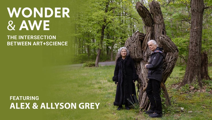 Wonder & Awe - Episode #4 - Alex and Allyson Grey