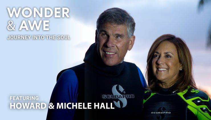 Wonder & Awe: Journey Into The Soul - Howard & Michele Hall