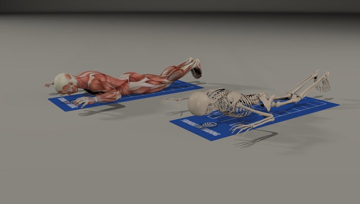 Anchored Back Extension 3D Animation