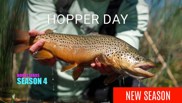 Buffet Series Season 4 Hopper Day