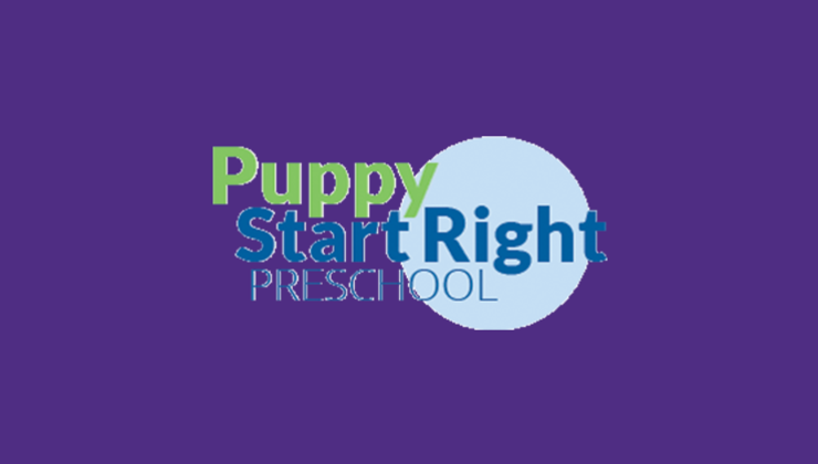 Puppy Start Right Preschool | Video on Demand by Karen Pryor Clicker ...