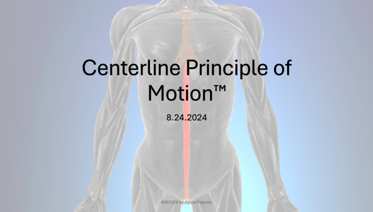 Centerline Principle of Motion Workshop | Fajardo Method Movement