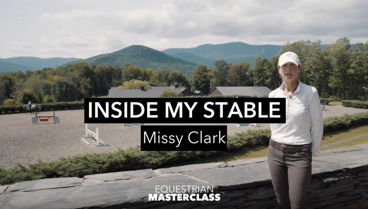 Inside My Stable Missy Clark