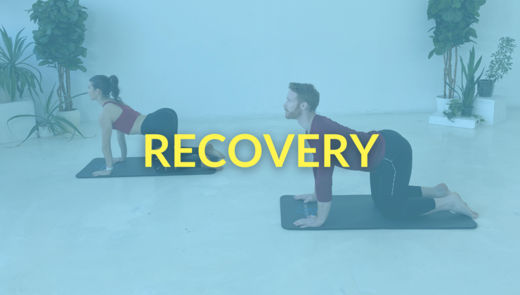 Recovery Classes