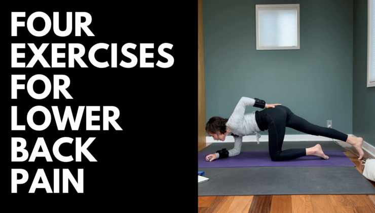 Beginner Exercises For Lower Back Pain | The Elevate Practice