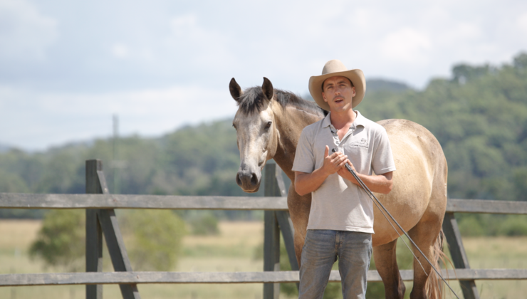 MASTERING PUSH-PULL DYNAMICS WITH LIBERTY TRAINING | The Horsemen ...