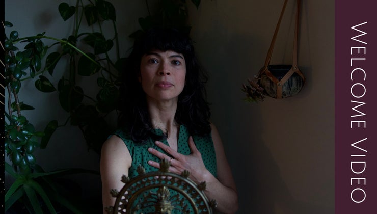 Welcome to Shadow School