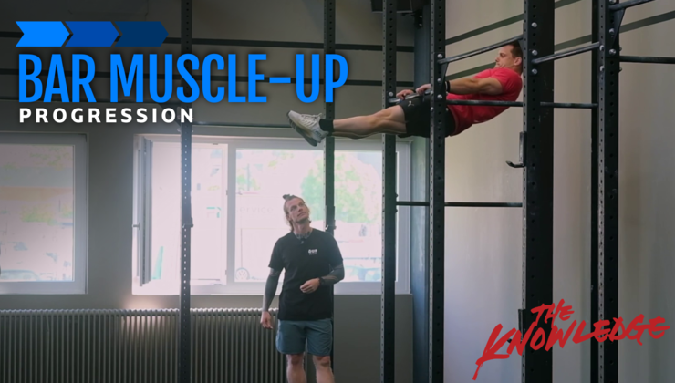 Bar Muscle-Up Progression: Roy