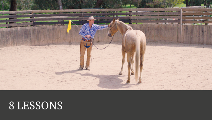 GETTING STARTED WITH ZIVA ON THE GROUND.