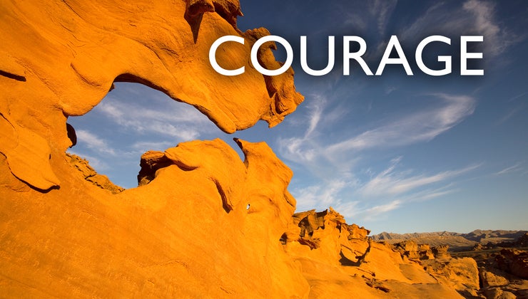 Courage