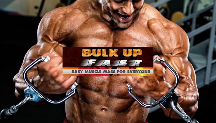 Bulk Up Fast