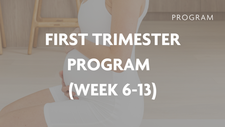 First Trimester Program