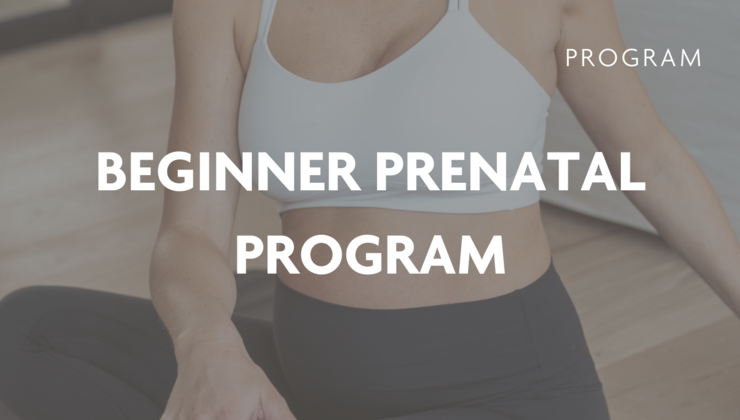 Beginner Prenatal Program