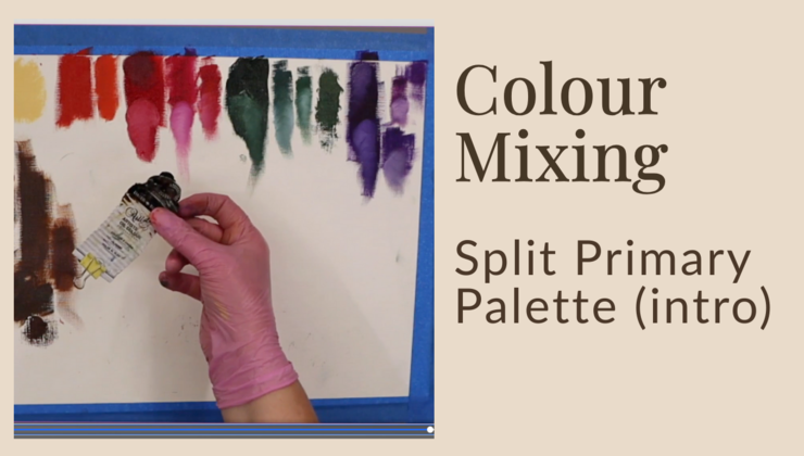 Introducing the Split Primary Palette