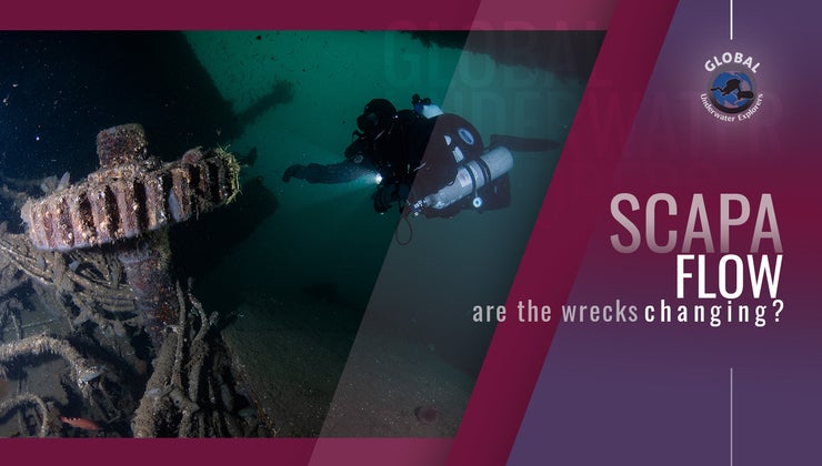 Exploring Scapa Flow: Are the Wrecks Changing?