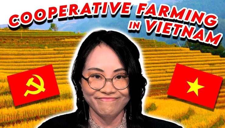 Socialist Farming In Vietnam | Luna Oi!