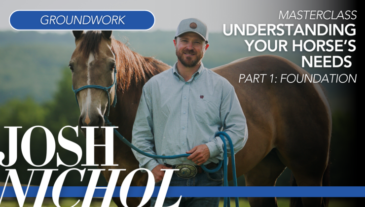 Understanding Your Horse's Needs with Josh Nichol - Course 1: Foundation