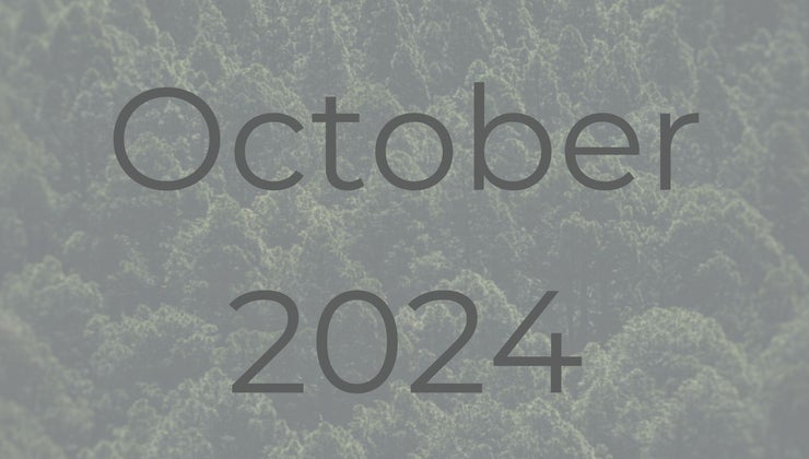 October Movement Calendar 2024