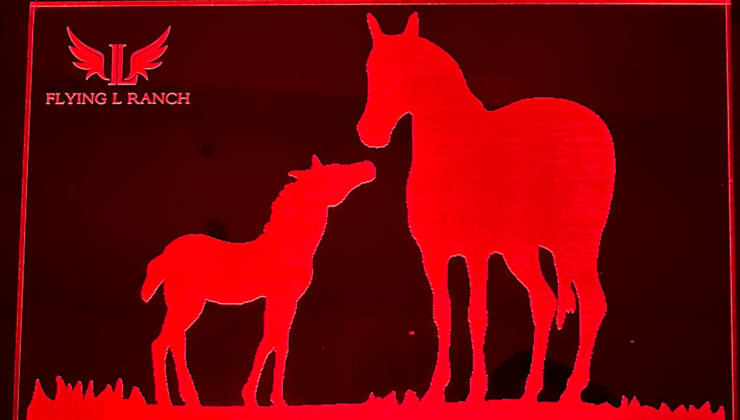 The Limited Edition Plaques Are Here