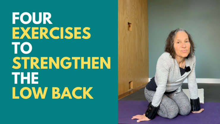 Four Exercises For Lower Back Strength | The Elevate Practice