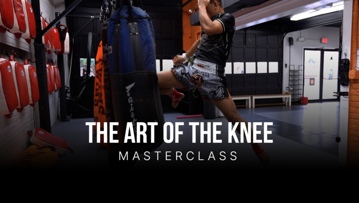 The Art of the Knee - Masterclass