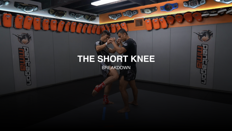 Short Knee Breakdown | Close-Range Power Striking