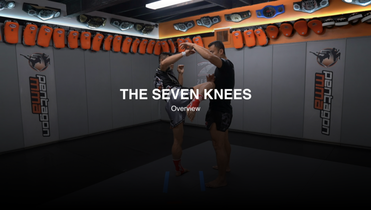 The Seven Knees | Master Muay Thai Knee Strikes