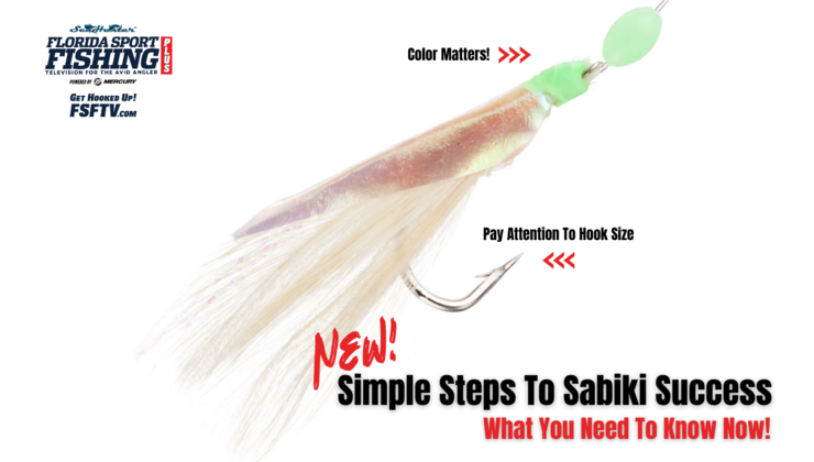 baitfish sabiki rigs goggle eyes herring florida fishing videos tips