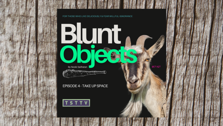 Episode 4- Take up space - Blunt Objects