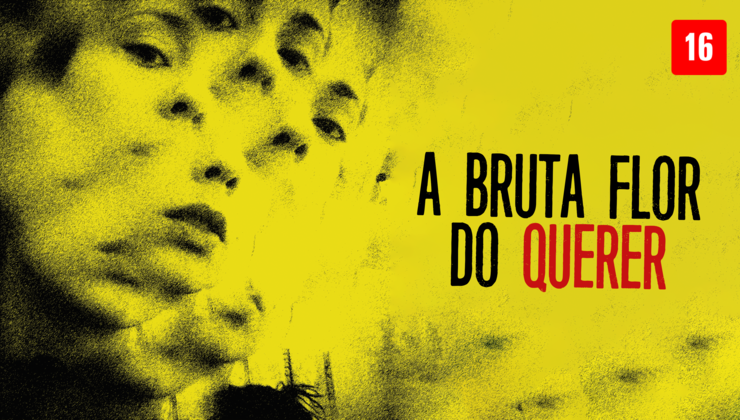 A Bruta Flor do Querer