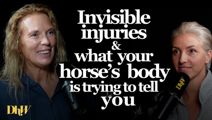 Dear Horse World, It’S Dr. Connie Fancy, Dvm – What Your Horse'S Body ...