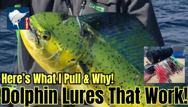 dolphin trolling lures color and shape style florida keys fishing tips