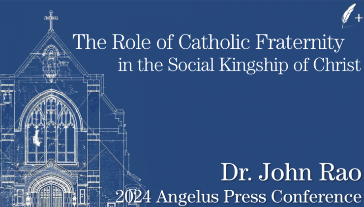 The Role of Catholic Fraternity in the Social Kingship of Christ - Dr ...