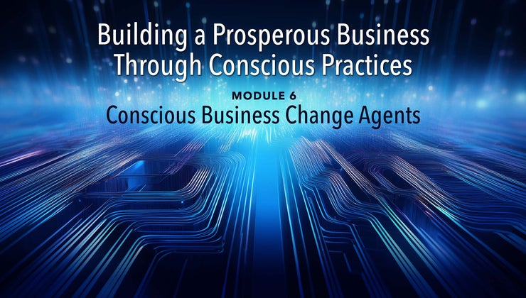 Module 6 Lesson 2 - Serving as a Conscious Business Change Agent (CBCA)