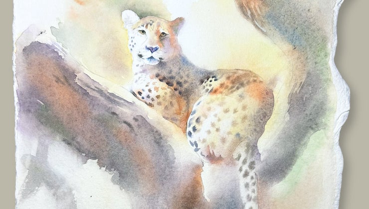 Watercolor-Livestream-Dylan-Pierce | Dylan Scott Pierce Online ...