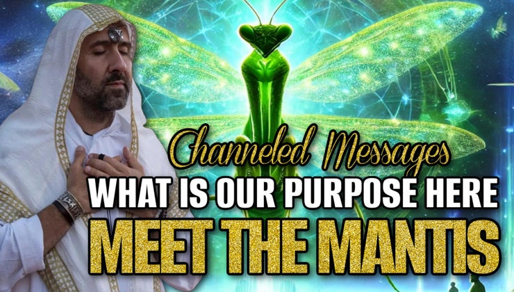 Toni Ghazi’s Live Channeling of Mantis Beings: Shocking Connection Into ...